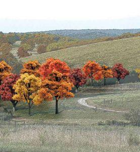 Bulk Trees 3/4''-2'' Fall Colors/38pc - Emery Distributors