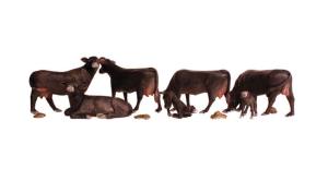 N Black Angus Cows - Emery Distributors
